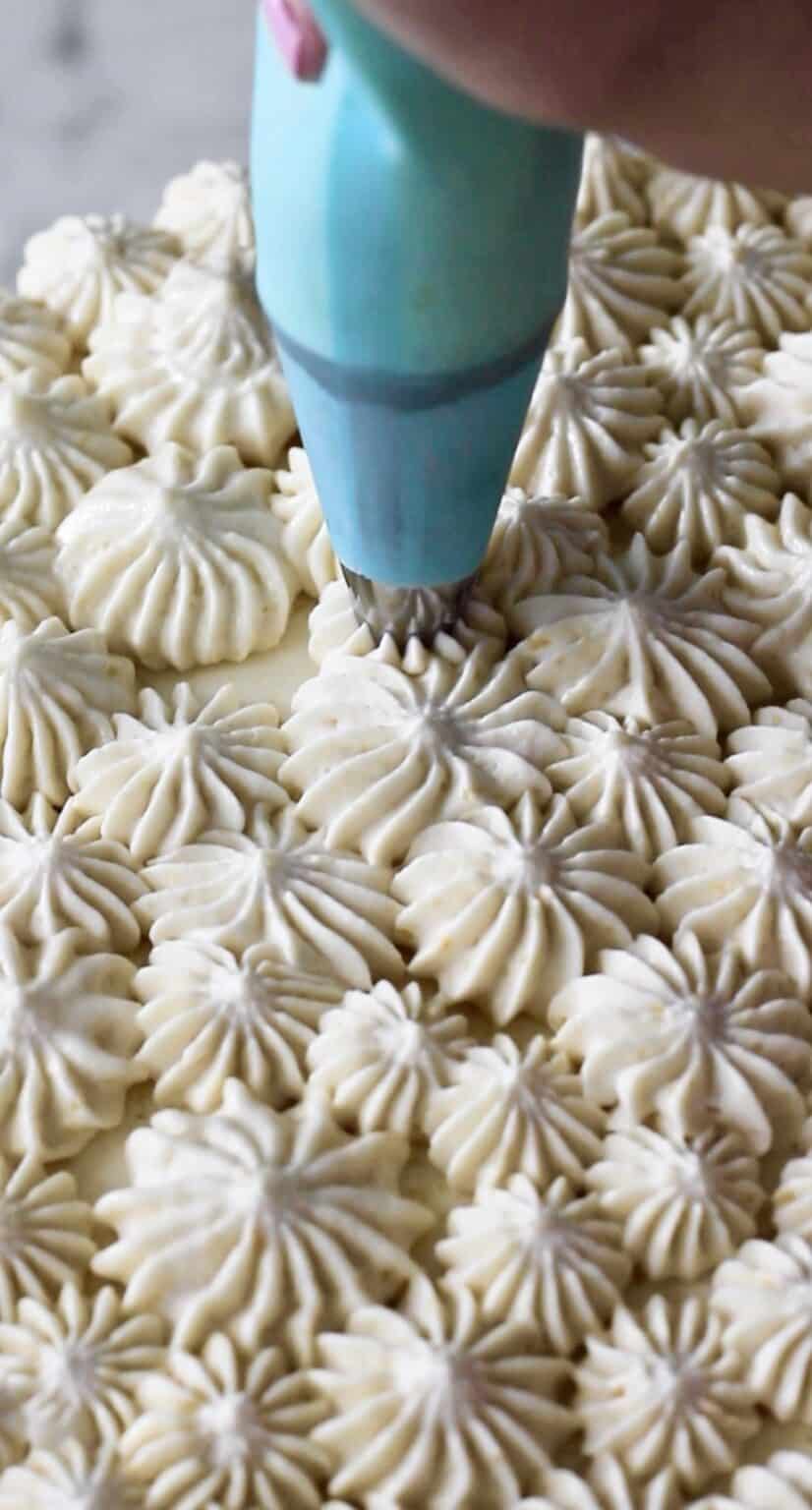 Mango Mousse Cake (No Egg or Gelatin) - Susan Brings Dessert