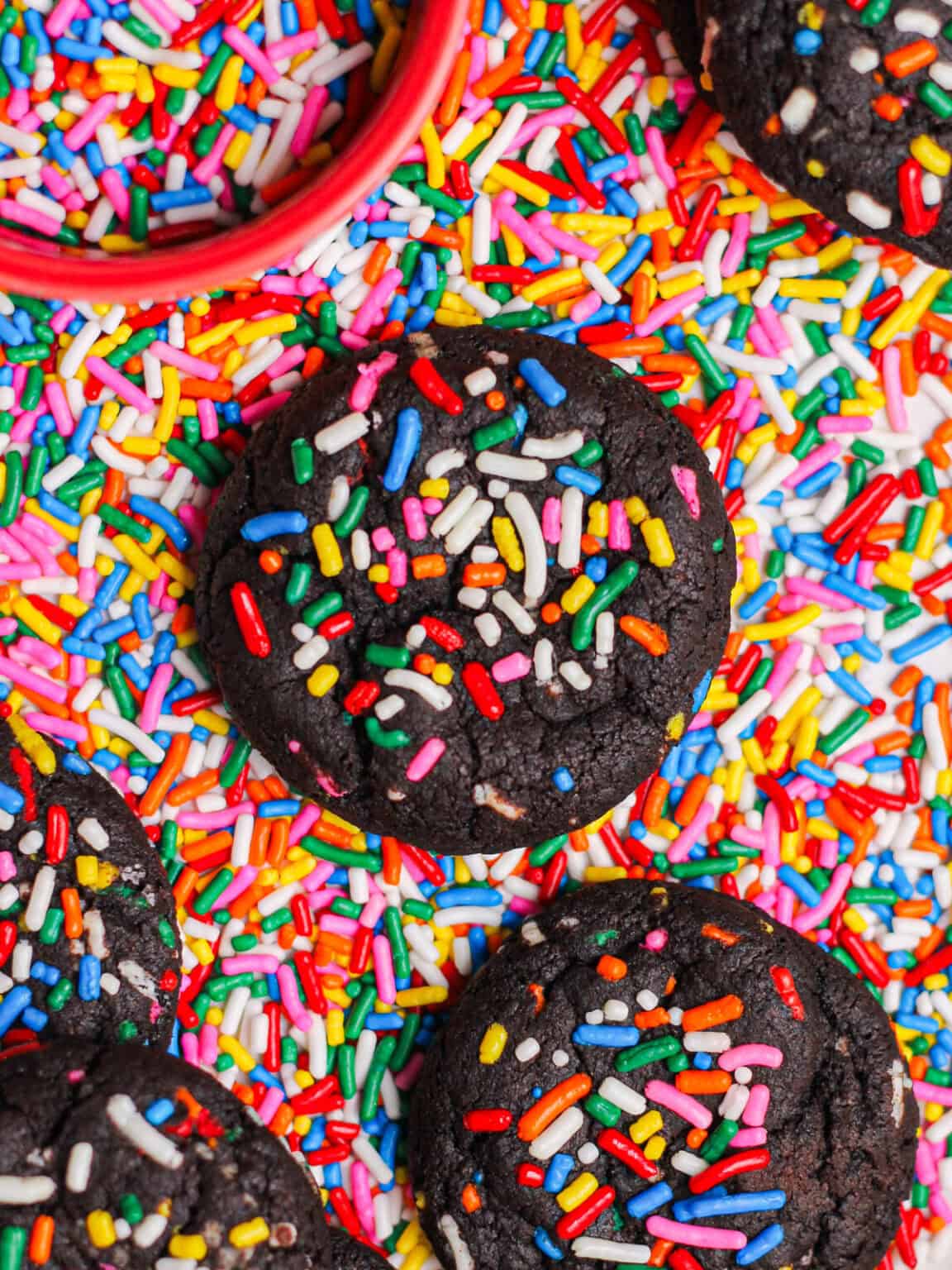 Chocolate Sprinkle Cookies - Susan Brings Dessert